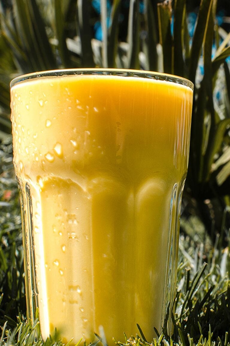 Our Best 41 Easy Mango Recipes (simple and delicious!)