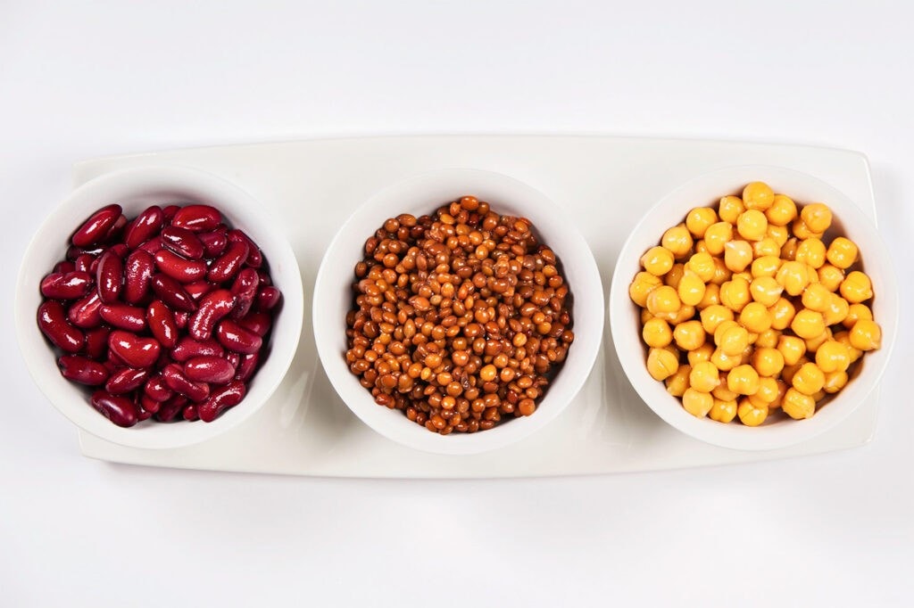 10 Best Vegetarian High Protein Foods | Hurry The Food Up