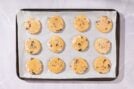 Perfect Protein Cookies (protein powder recipe)