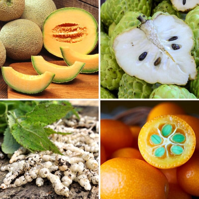 65 Surprising Foods That Start With C: Get Quiz Ready!
