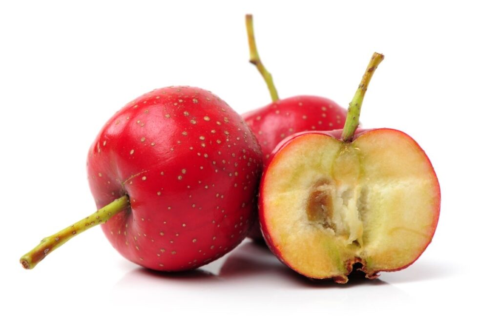 49 Foods That Start With E (I bet you can’t list them!)