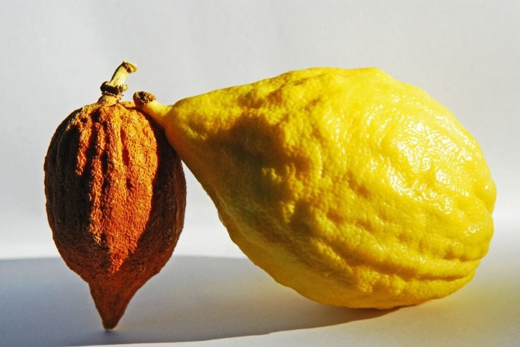 49 Foods That Start With E (I bet you can’t list them!)