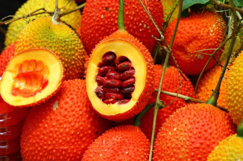 26 Fruits That Start With G (From Gac to Goji!)