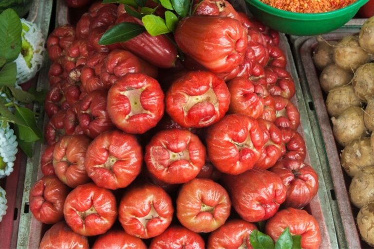 14 Fruits That Start With J From All Over The World!