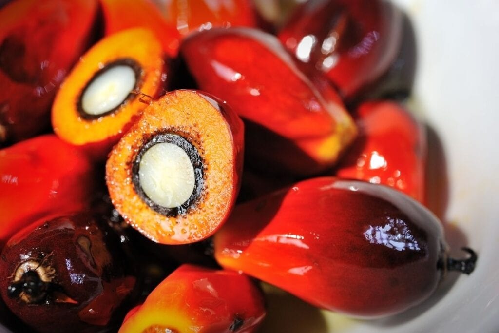 50 Surprising Foods That Start with J (2025 edition)