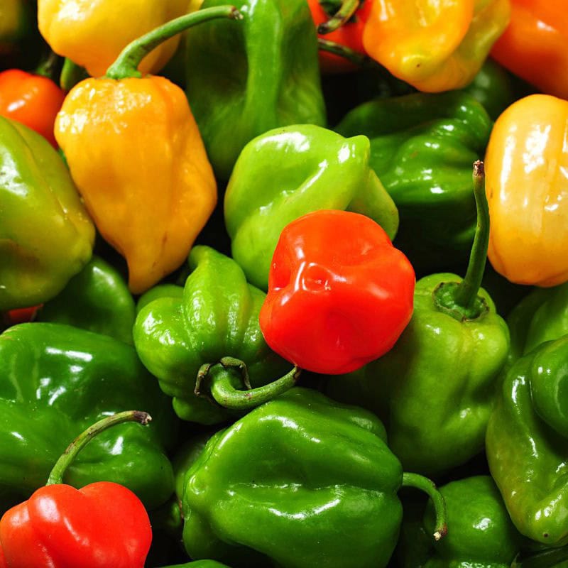 22 Exceptional Vegetables That Start With H (2023)