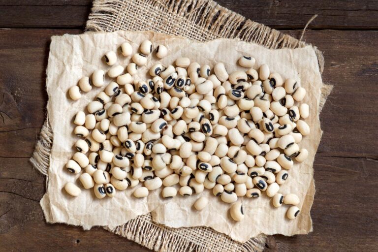 60 Foods That Start With B (A Comprehensive List)