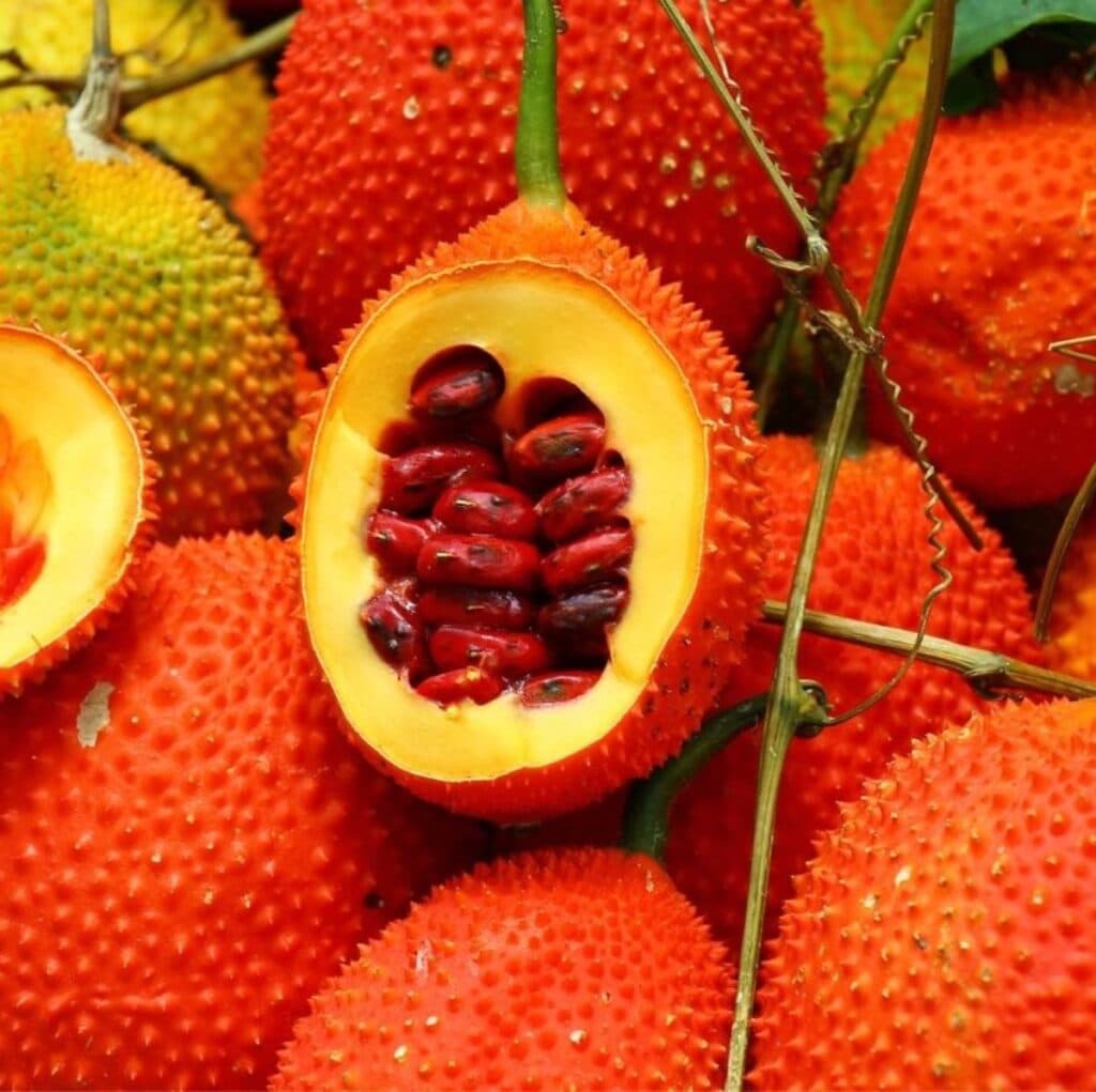 26 Fruits That Start With G (From Gac to Goji!)