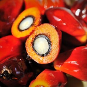 14 Fruits That Start With J From All Over The World!