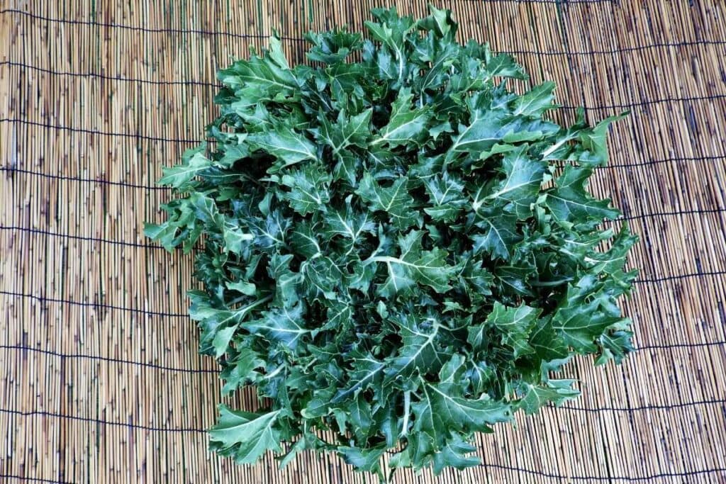 56 Weird And Wonderful Foods That Start With K!