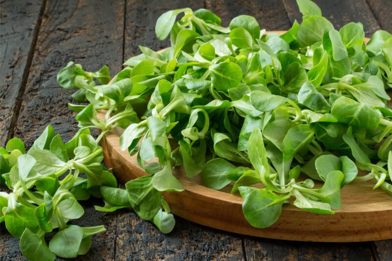 25 Vegetables Starting With L (Watch out for #12!)