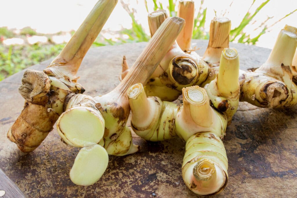 25 Vegetables Starting With L (Watch out for #12!)