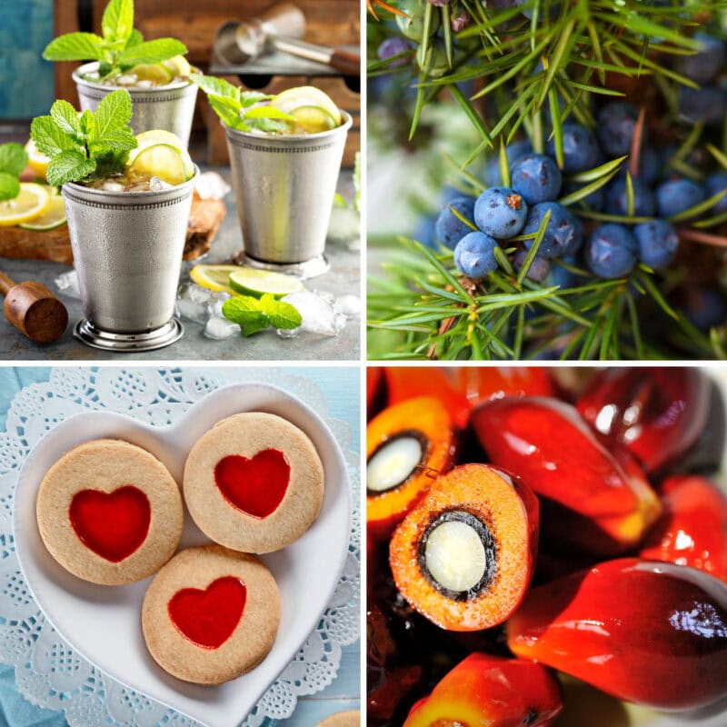50 Surprising Foods That Start with J (2025 edition)