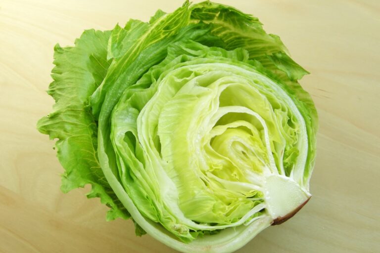 All 10 Vegetables That Start With I: 2025 Edition!