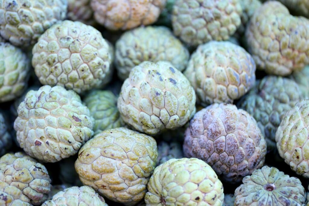 60 Fantastic Foods That Start With I: 2025 Edition!