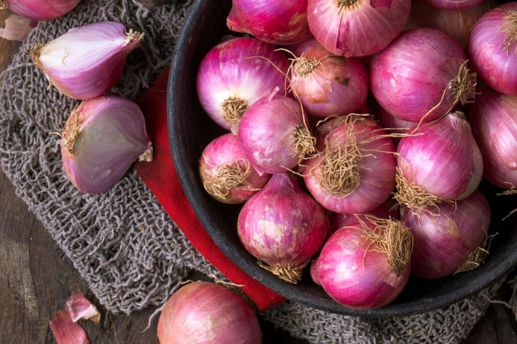 All 10 Vegetables That Start With I: 2025 Edition!