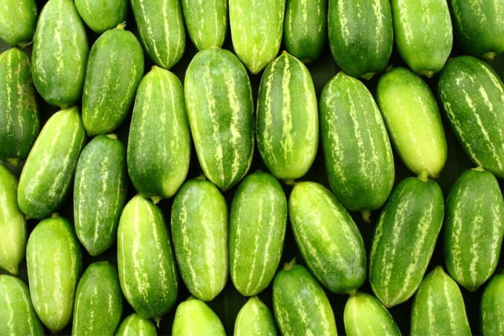 All 10 Vegetables That Start With I: 2025 Edition!