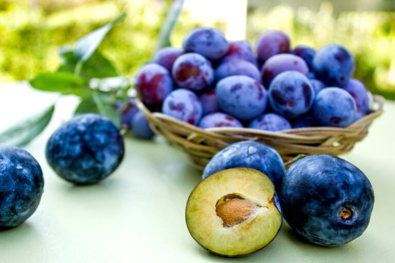 The Complete List of Foods That Start With the letter D