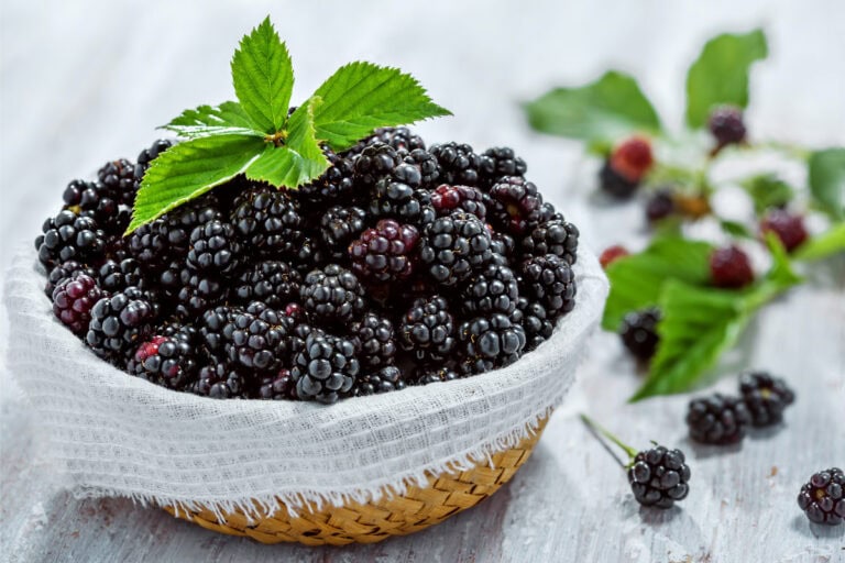 22 Fruits That Start With D