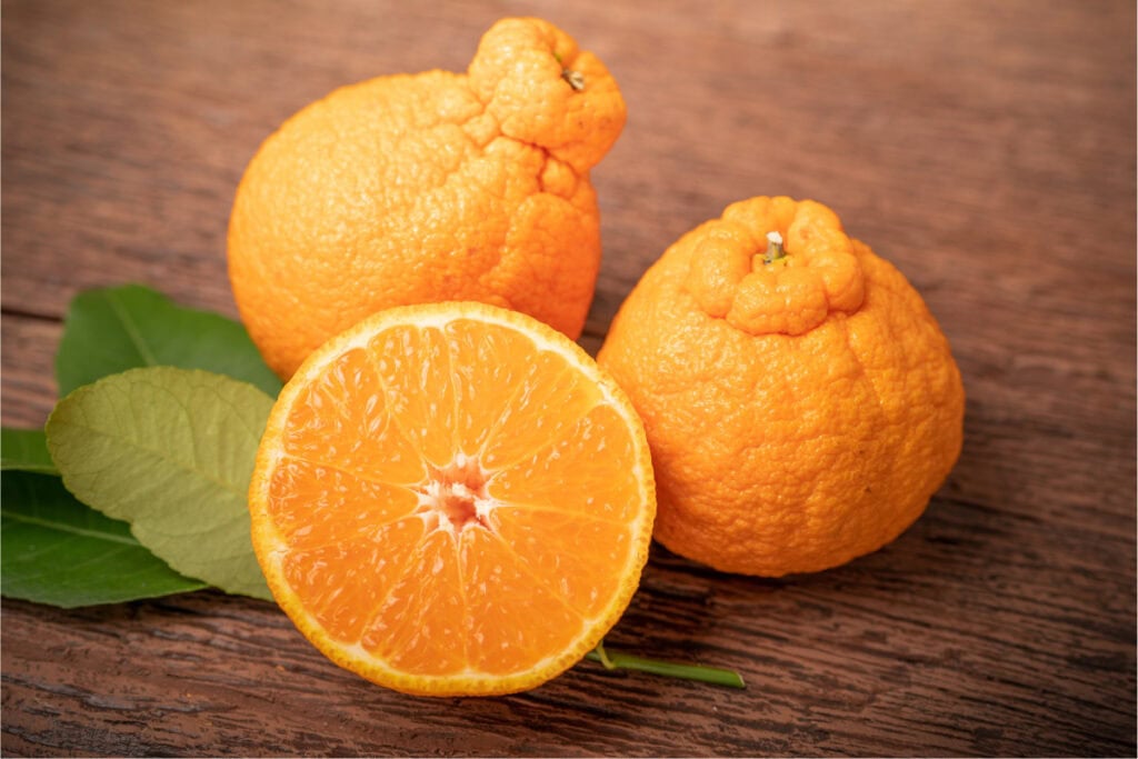 22 Fruits That Start With D