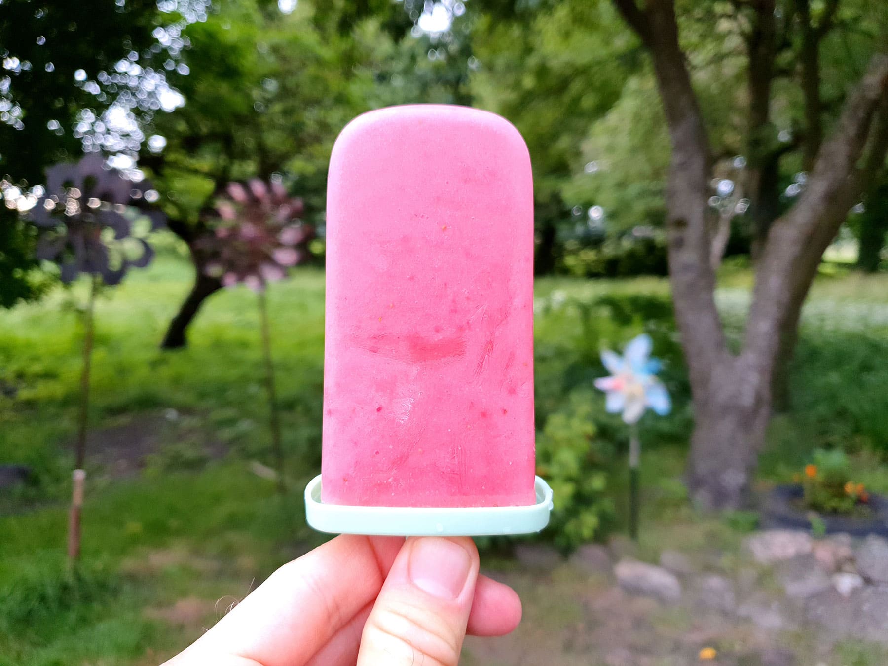 3 Best Protein Popsicles To Make (+ ice cream ideas!)