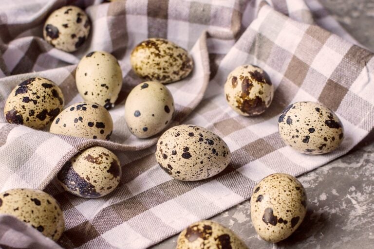 How Much Protein Is In A Quail Egg: Nutritional Facts