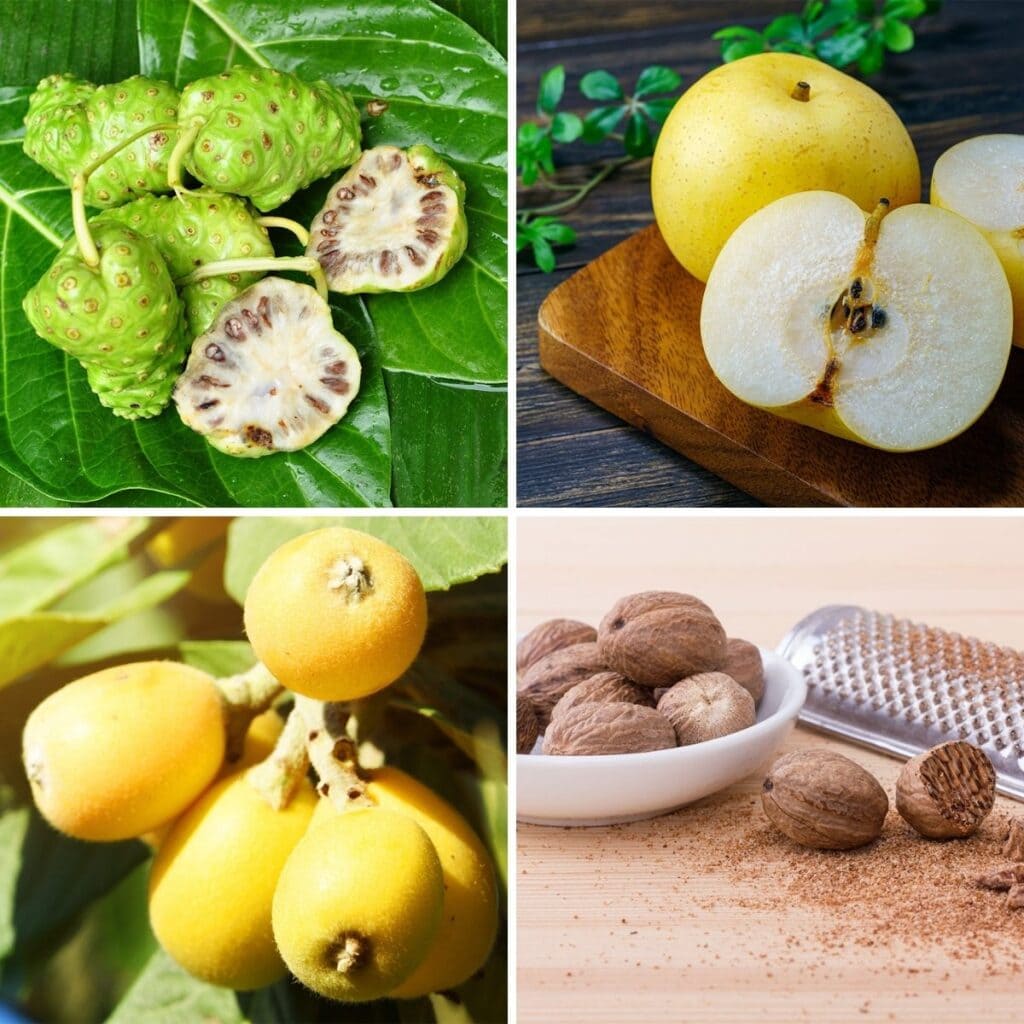 28 Nourishing Fruits That Start With N (a complete list)