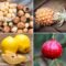 10 Surprising Fruits That Start with Q: Not just quince! - Hurry The ...
