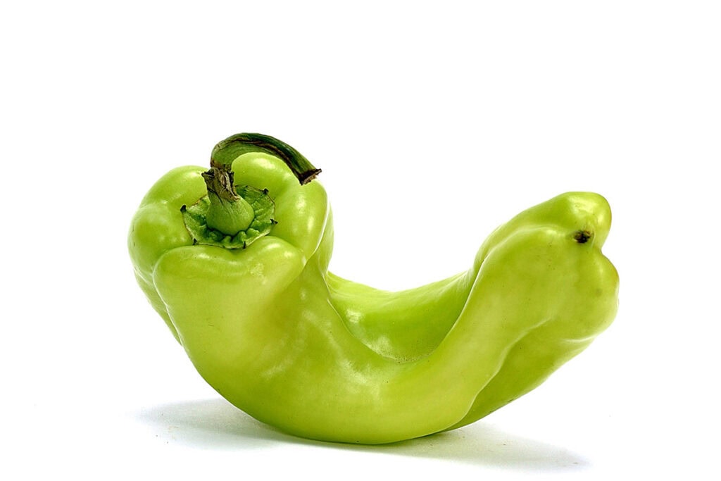 24 Vegetables that start with P (Facts and Pictures)