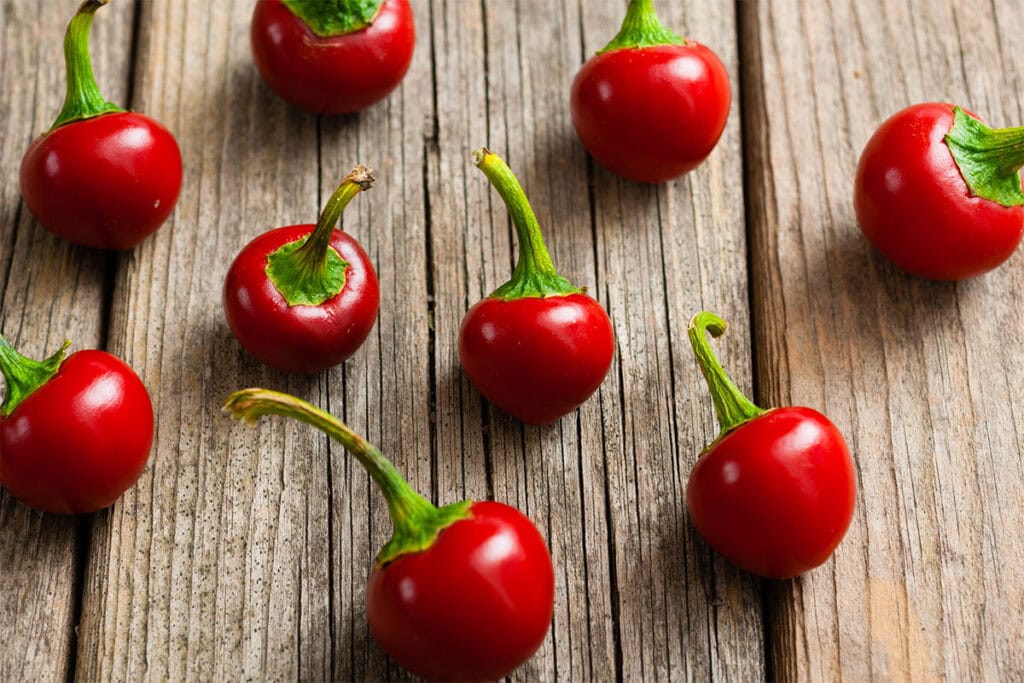 24 Vegetables that start with P (Facts and Pictures)