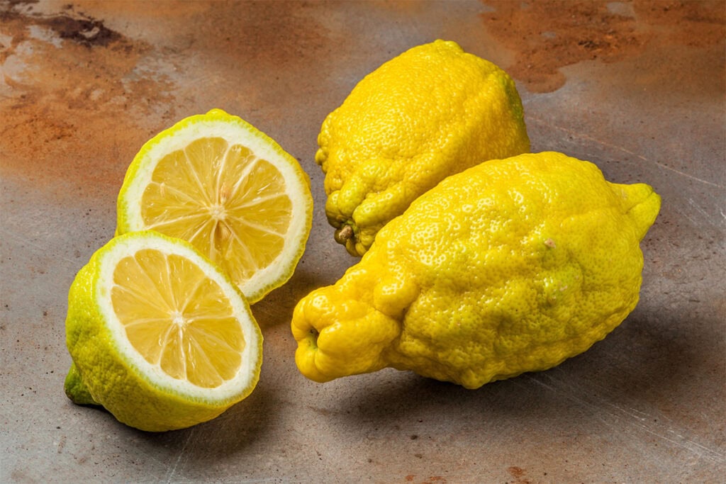 31 Fruits That Start With R (I never knew #11 existed!)
