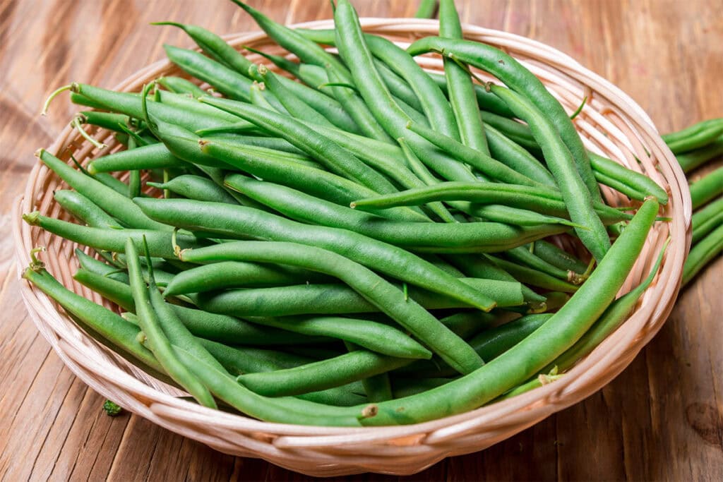 Vegetables That Start With S (with pictures and facts)