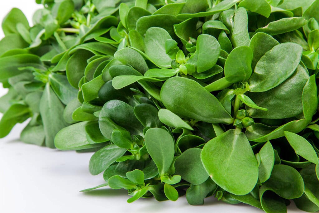 24 Vegetables that start with P (Facts and Pictures)