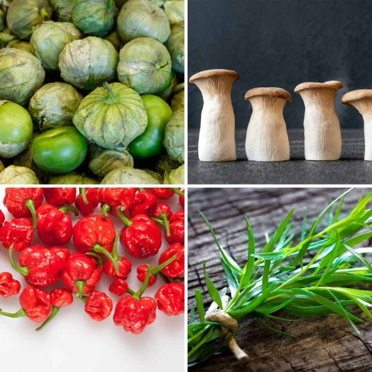 All 21 Vegetables That Start With T (#17 is too hot to handle!)