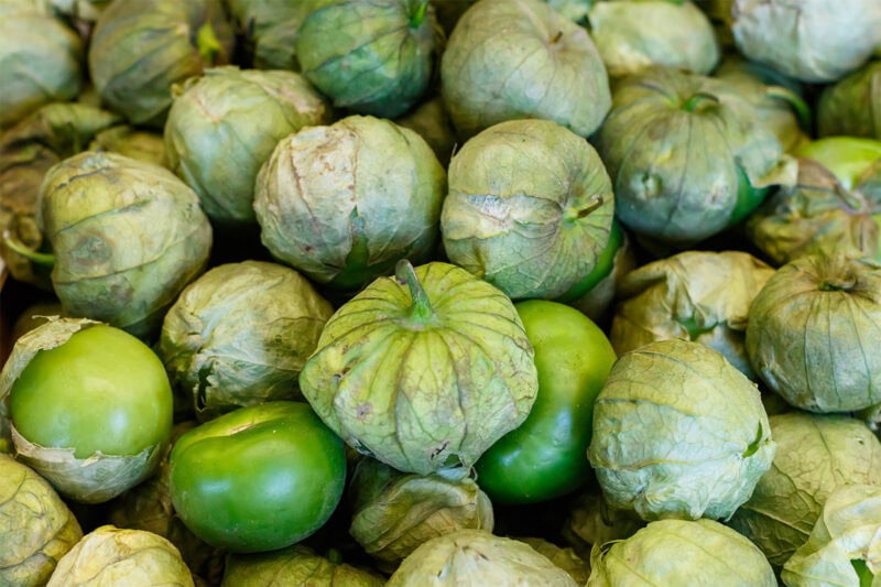 All 21 Vegetables That Start With T (#17 is too hot to handle!)