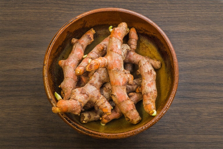 All 21 Vegetables That Start With T (#17 is too hot to handle!)