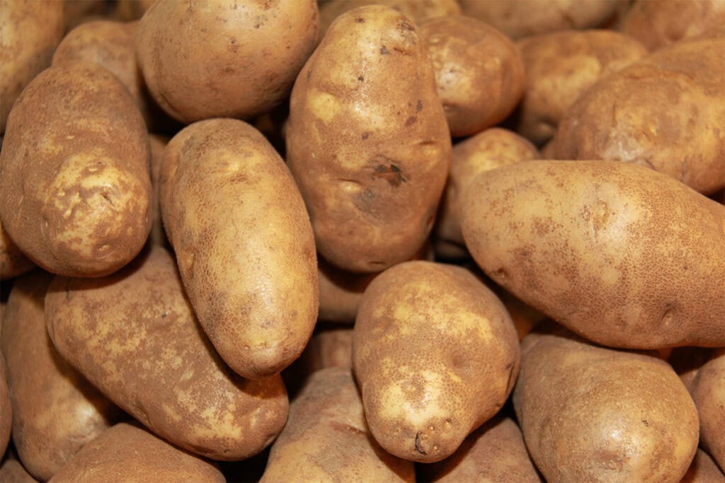 All 11 Vegetables That Start With the Letter U