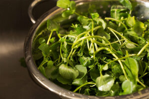 All 11 Vegetables That Start With the Letter U