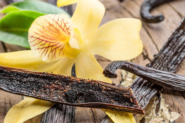 16 Fruits That Start With V (Watch out for #16!)