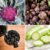 Surprising Vegetables That Start With V (2025 edition)