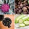 Surprising Vegetables That Start With V (2025 edition)