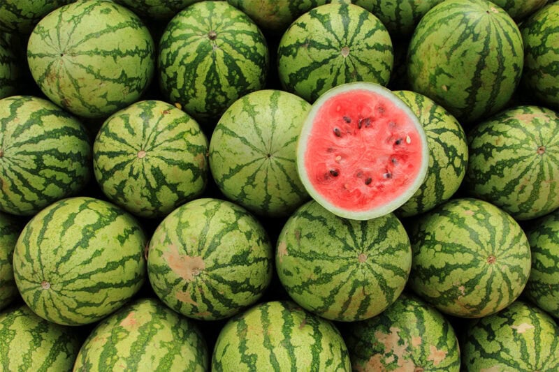31 Foods That Start With X (With Pictures & Facts)