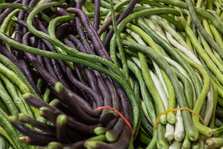 Can You Name These 19 Vegetables That All Start With Y?