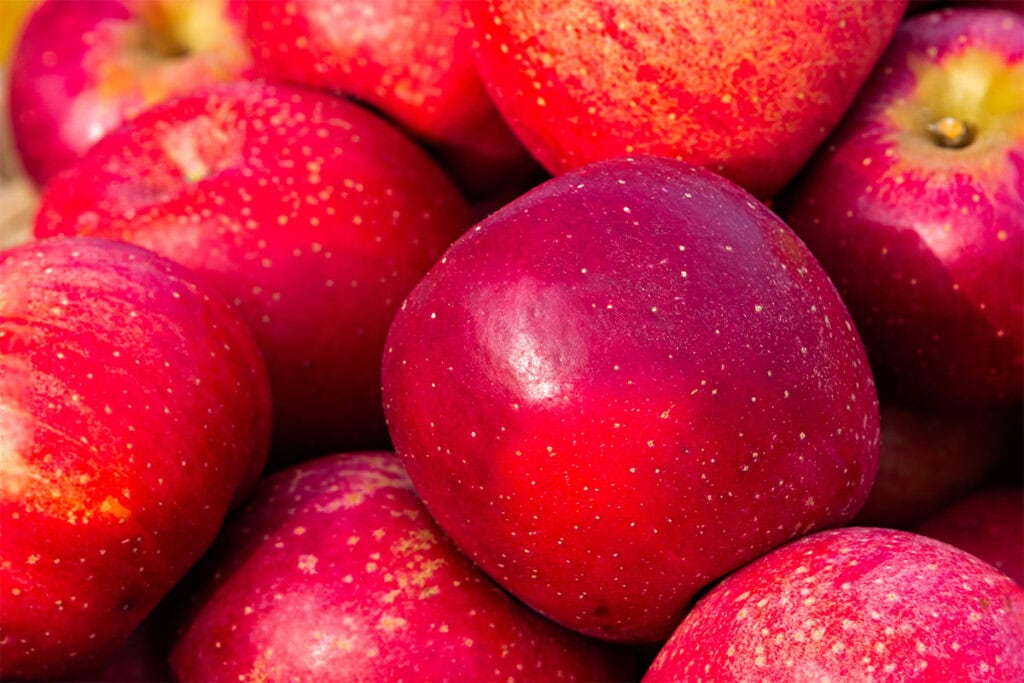 20 Fruits That Start With Y (With Pictures and Facts)